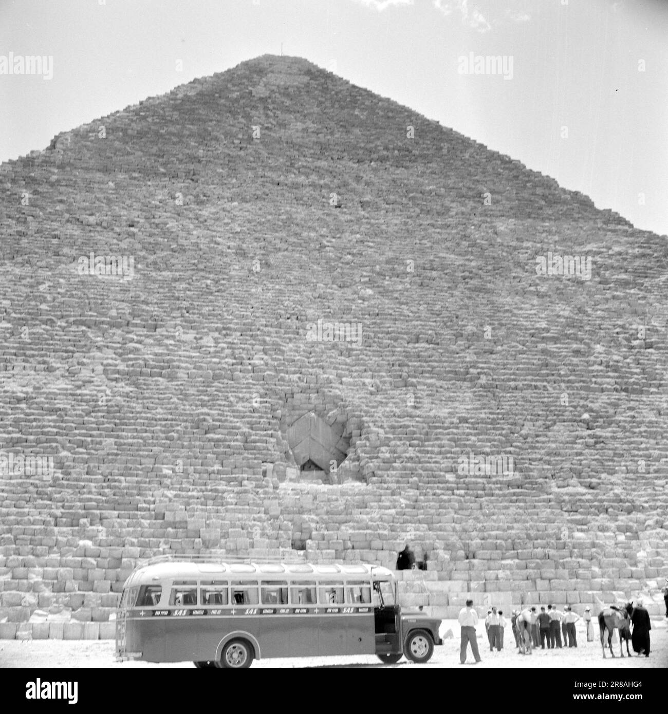 Courant 2-4-1960: Courte rencontre avec l'Égypte l'Égypte de Nasser est ...