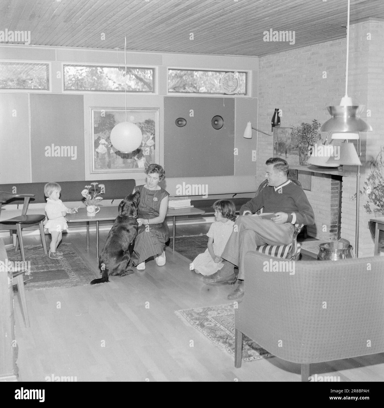 Actuel 33-3-1960: Carrière en rouge, blanc et vert le jeune homme de ...