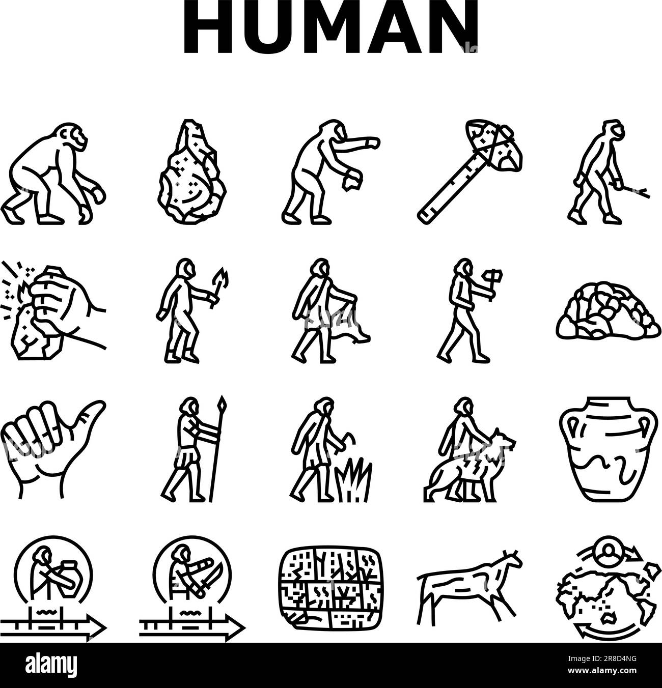 Evolution of man silhouette Banque d'images noir et blanc - Alamy