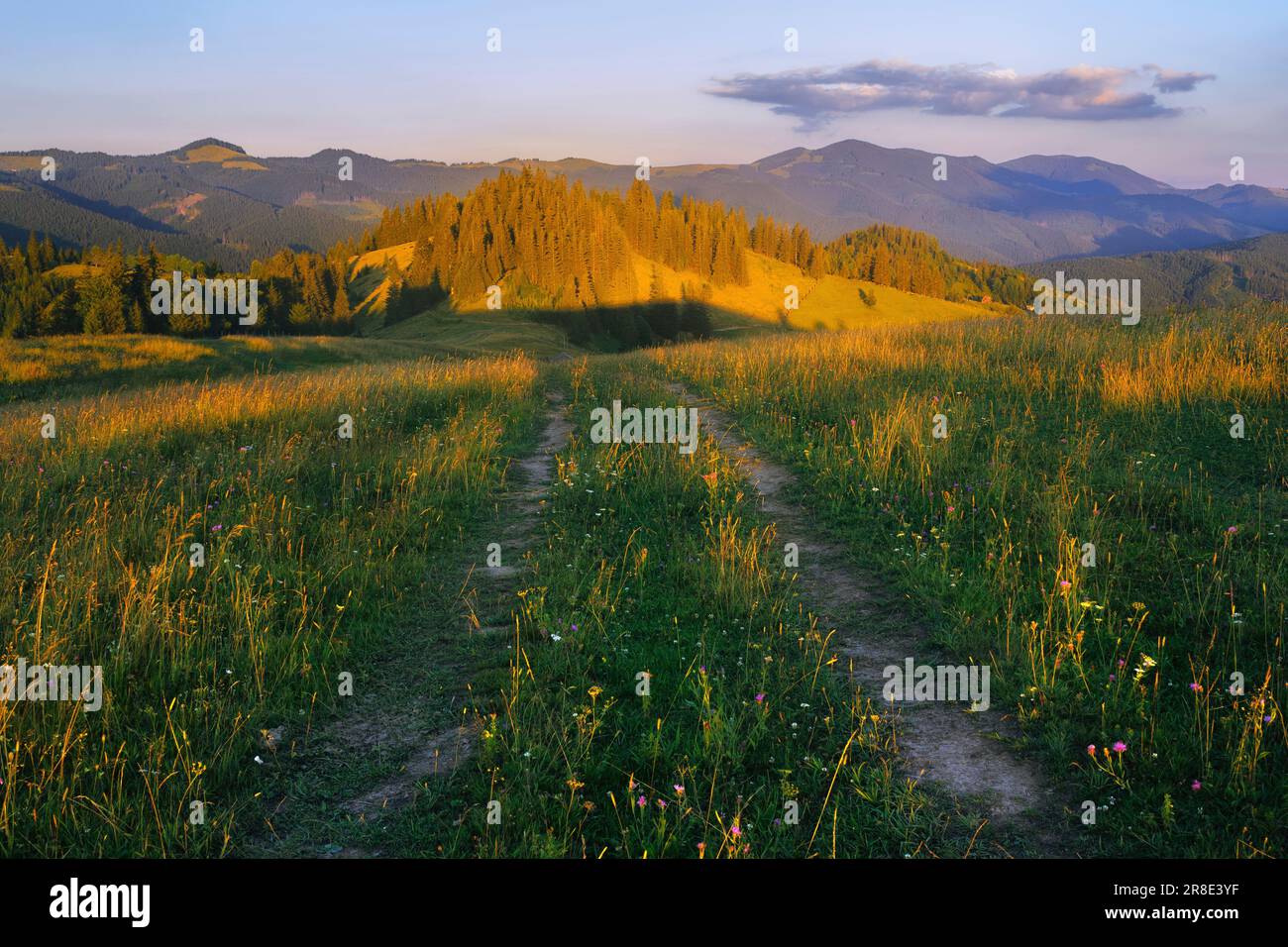 Ukraine, région d'Ivano Frankivsk, district de Verkhovyna, village de ...