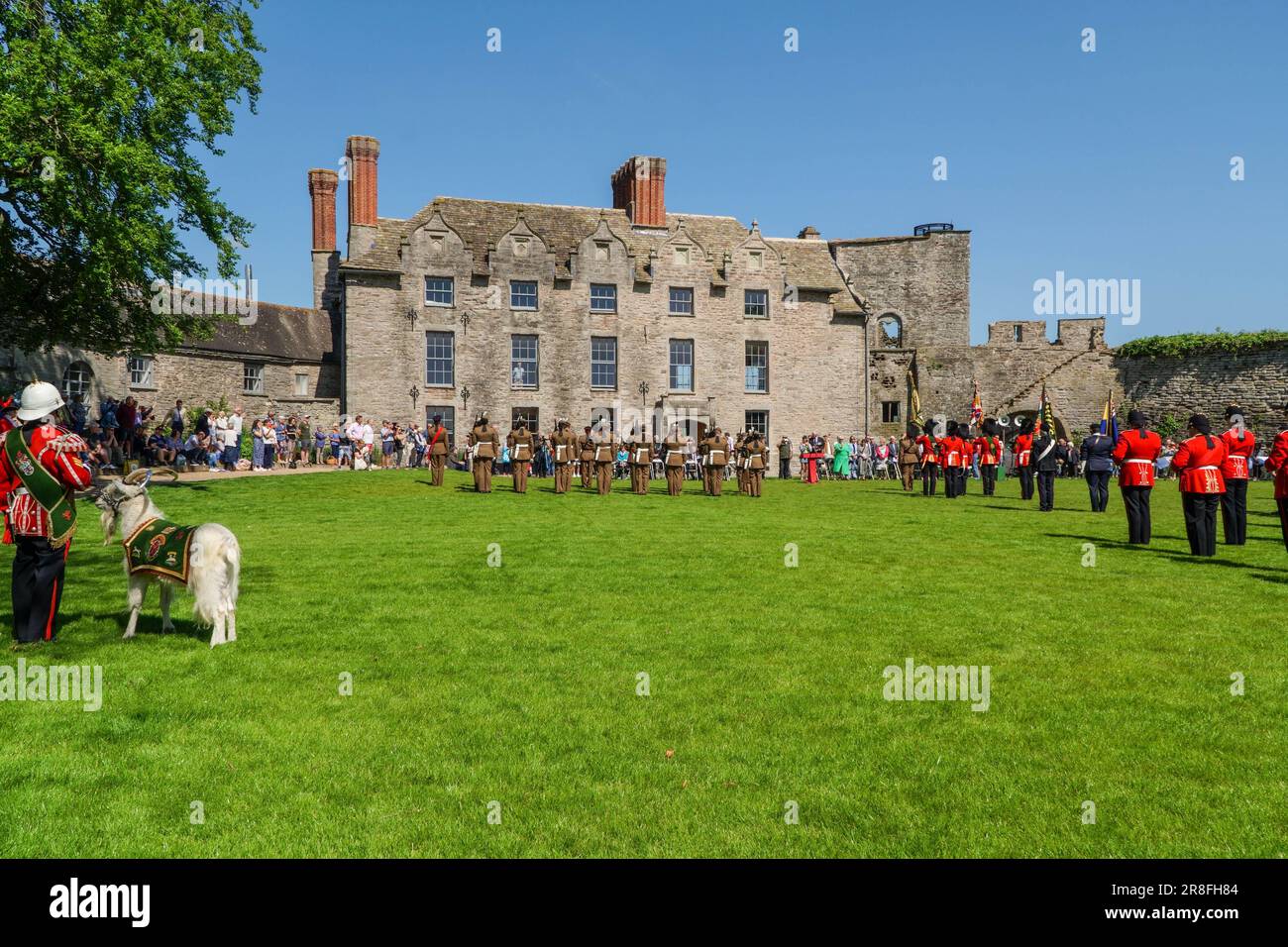 Royal welsh guards Banque de photographies et d’images à haute ...