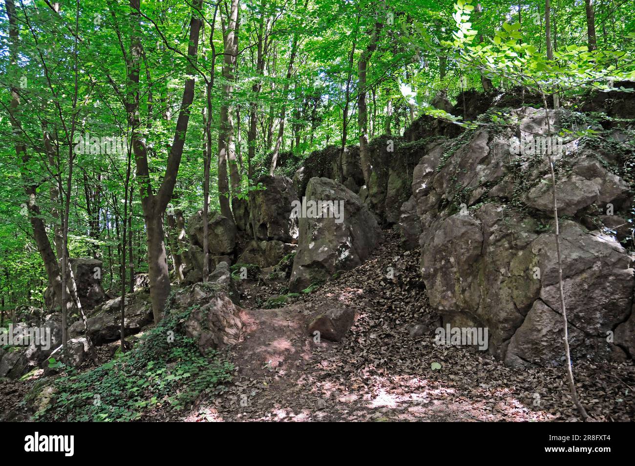 Reichenbach géographie Banque de photographies et d’images à haute ...