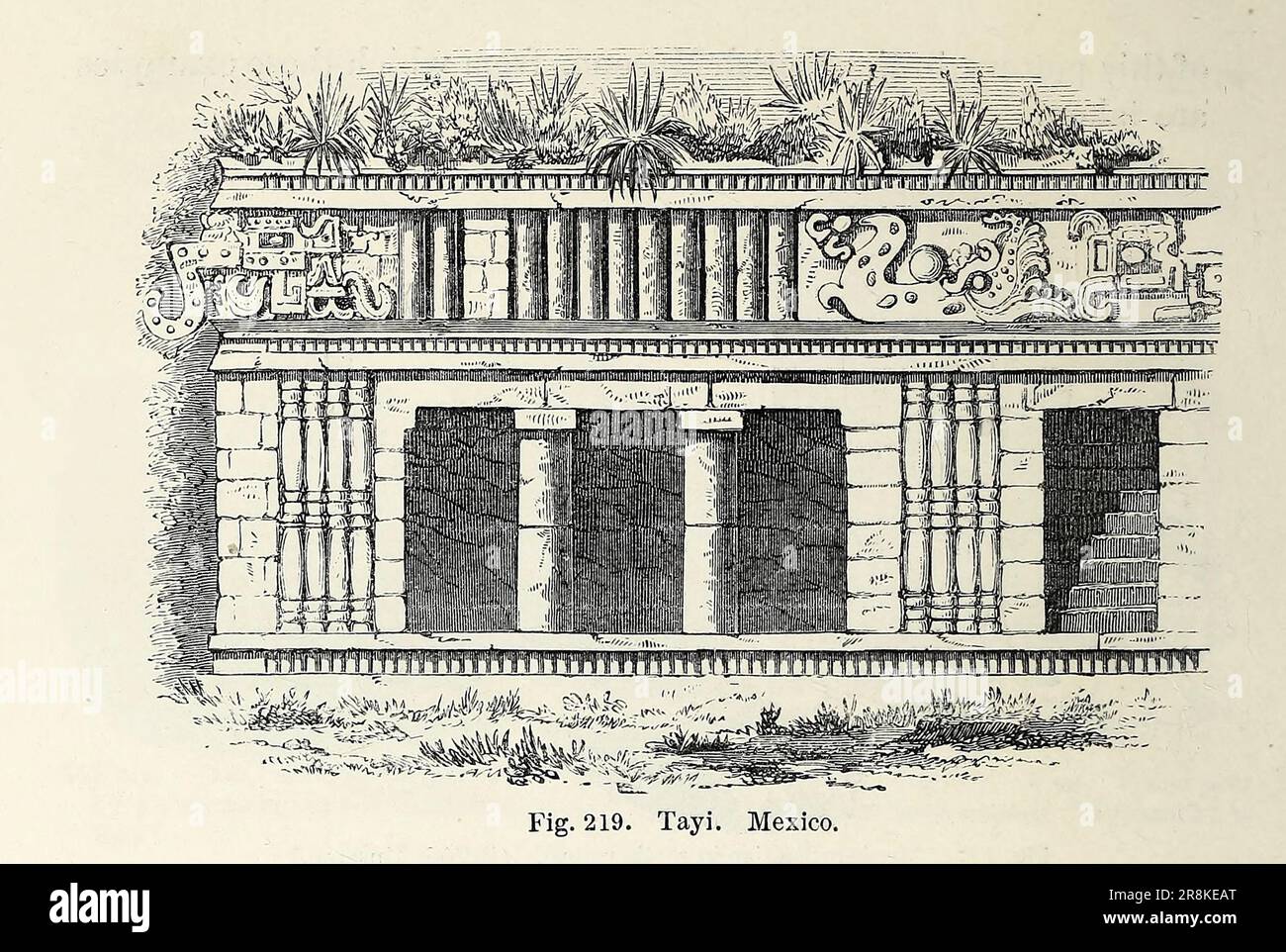 Tayi, tombeau mexicain, contenant de la poterie. D'après le livre « Une ...