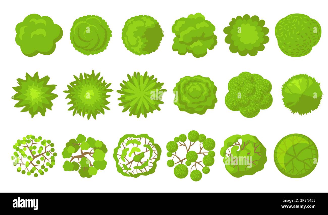 Schéma De Plantation Tropicale Banque Dimages Vectorielles Alamy
