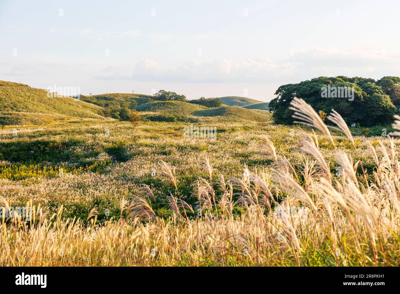 Parc quasi national akiyoshidai Banque de photographies et d’images à haute résolution - Alamy