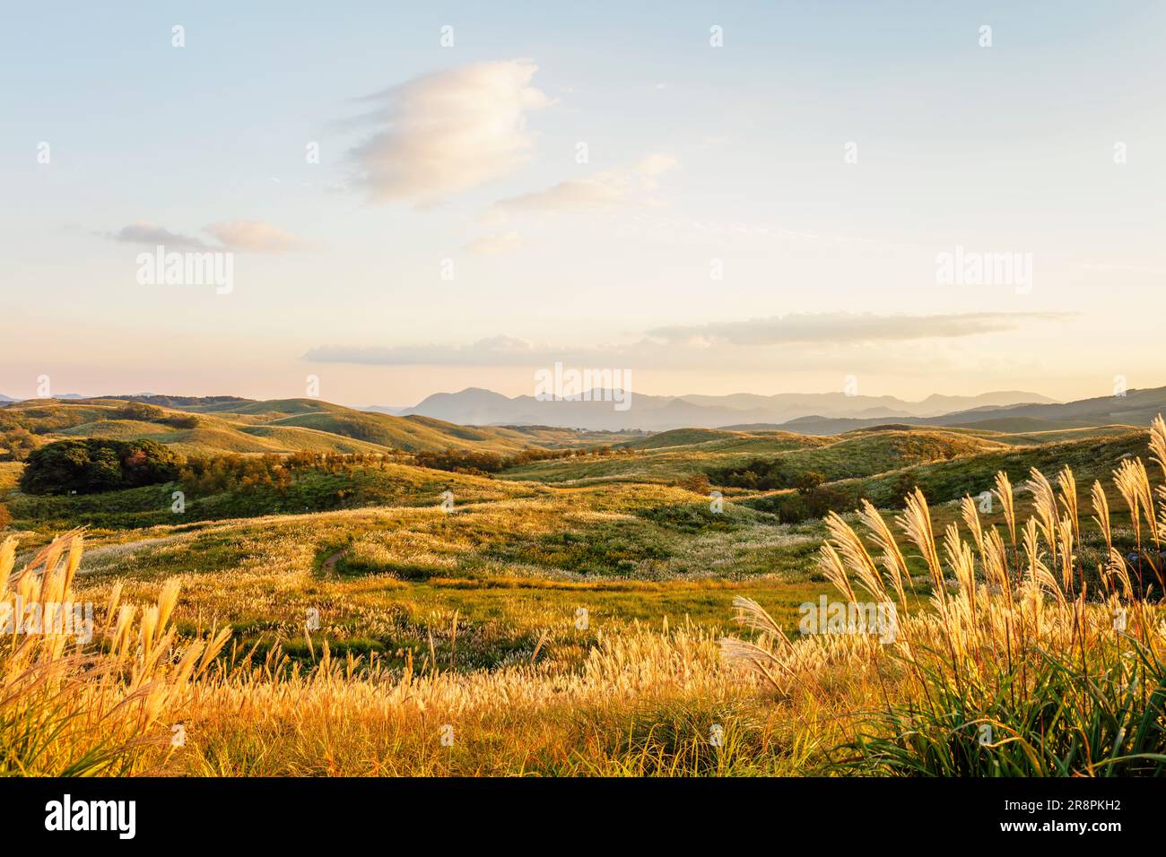 Parc quasi national akiyoshidai Banque de photographies et d’images à haute résolution - Alamy