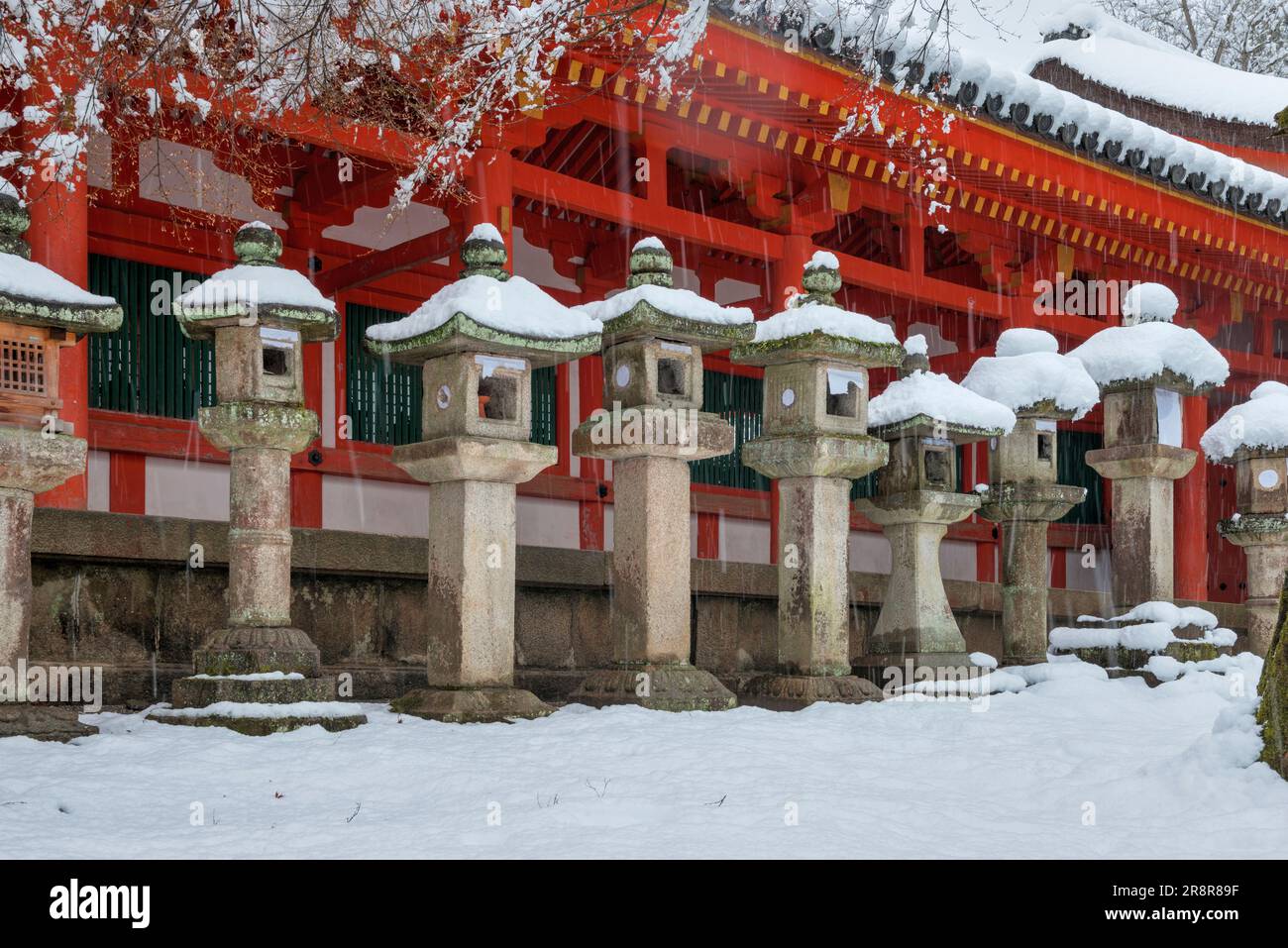Sanctuaire shinto kasuga taisha Banque de photographies et d’images à ...
