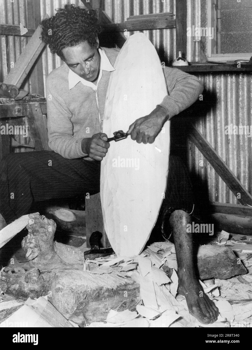 Usine de boomerangs Banque de photographies et d’images à haute ...