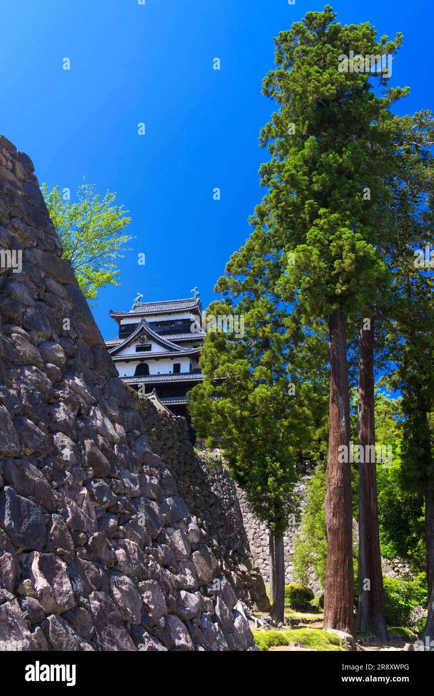Matsue castle Banque de photographies et d’images à haute résolution - Alamy