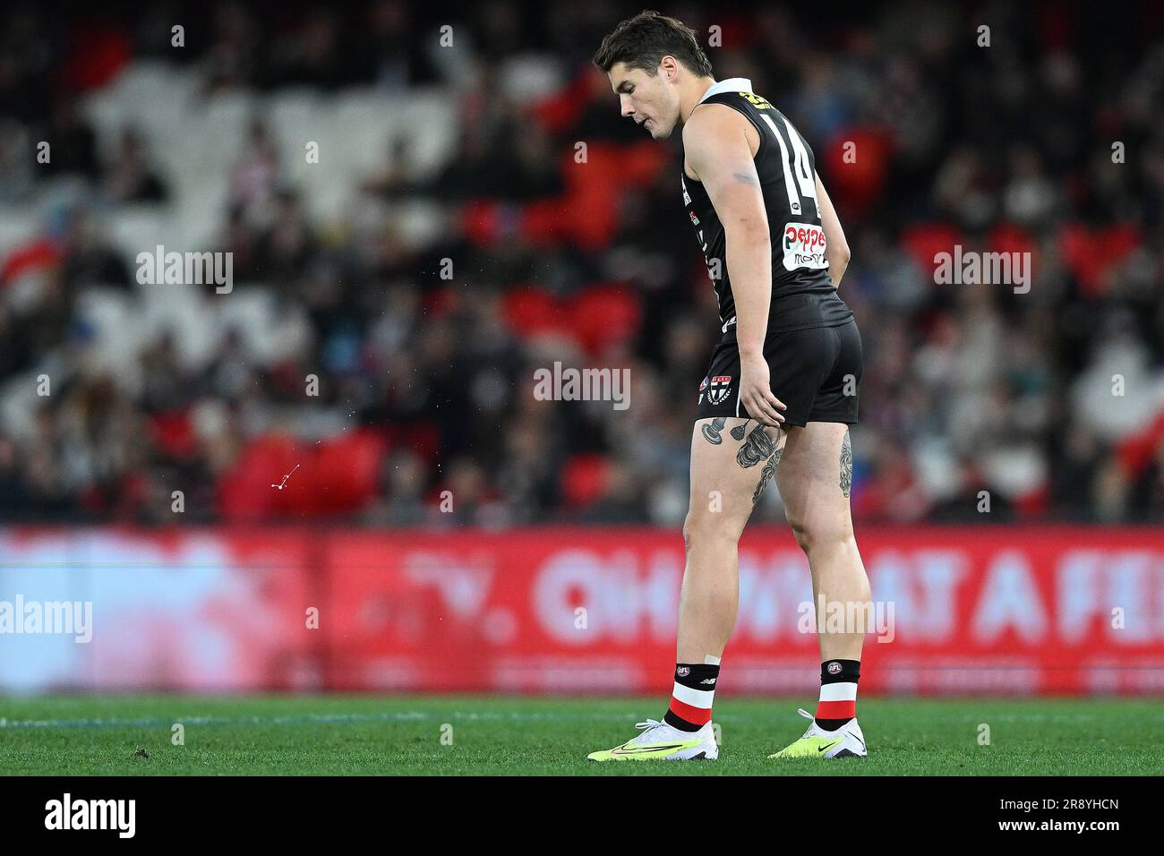 Melbourne, Australie. 23rd juin 2023. Liam stocker de St Kilda lors du ...