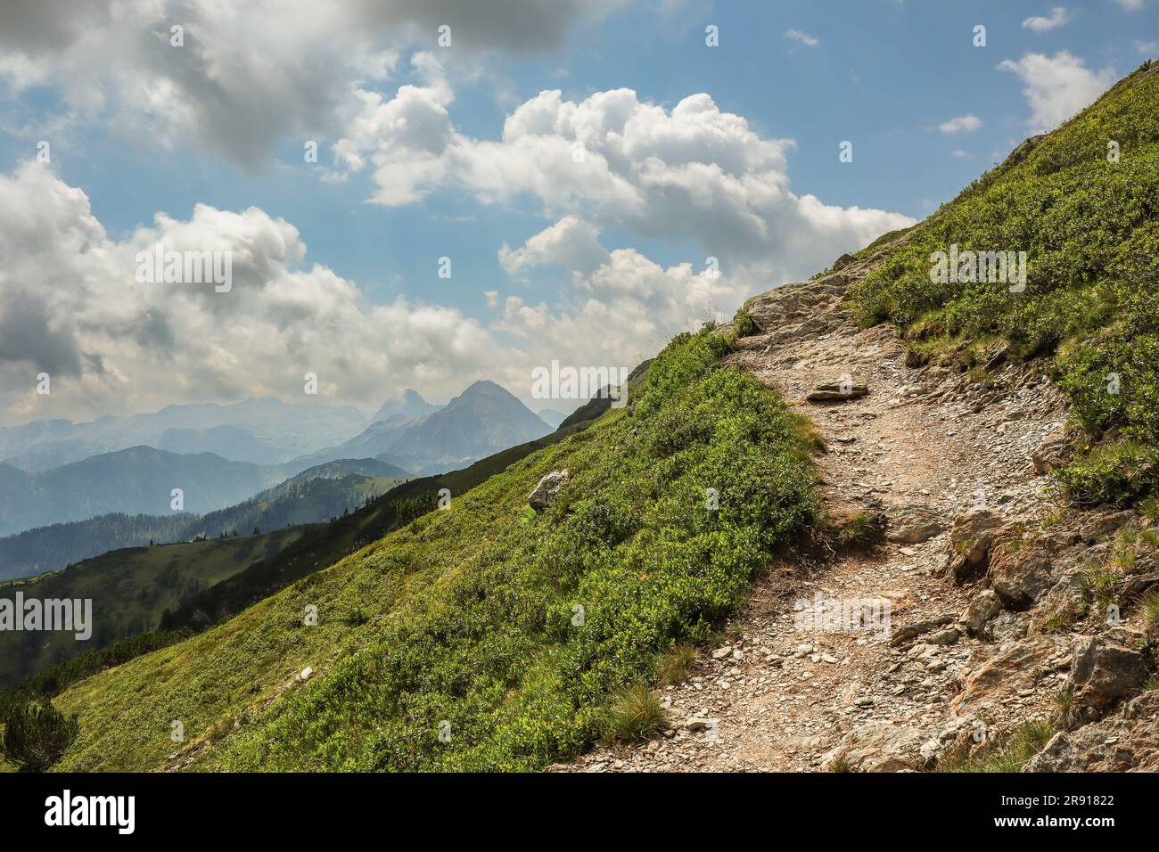 Sentier de randonnée dans la nature de Flachau pendant la journée d'été ...