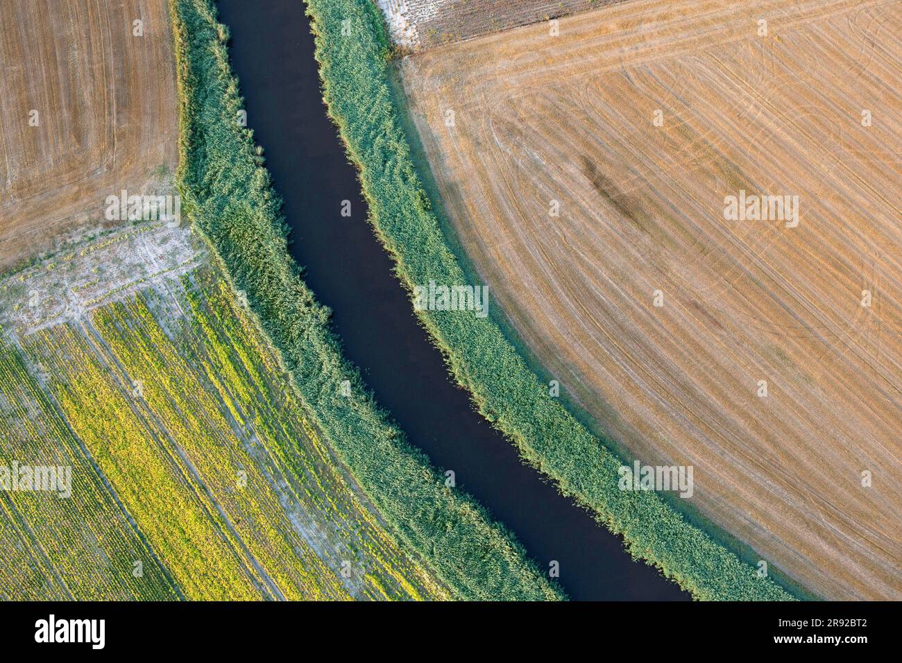 Meetjeslands krekengebied Banque de photographies et d’images à haute ...