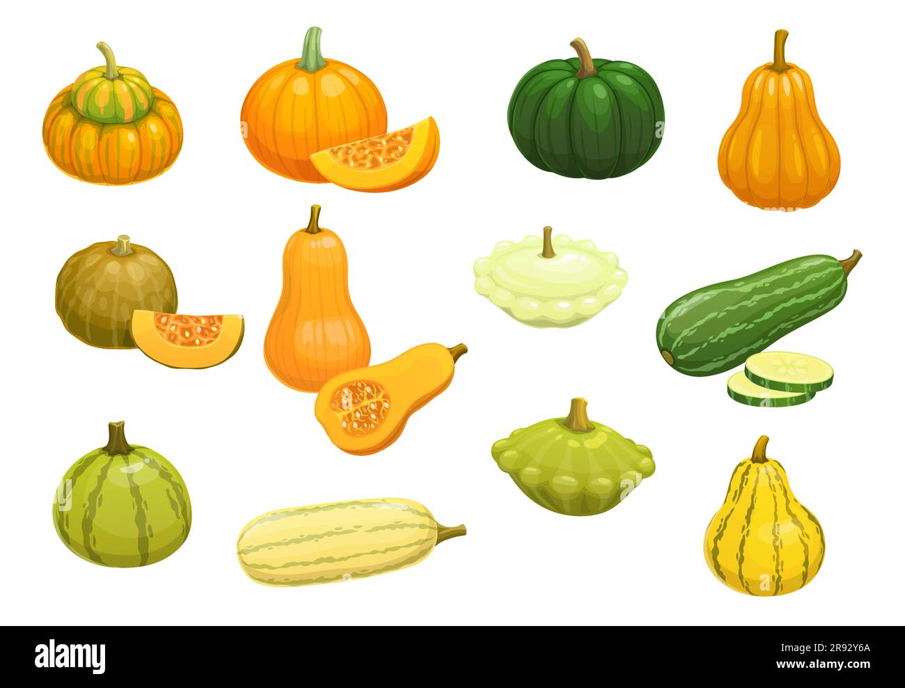 Courgettes brutes de dessin animé, citrouille, légumes de courge et de ...