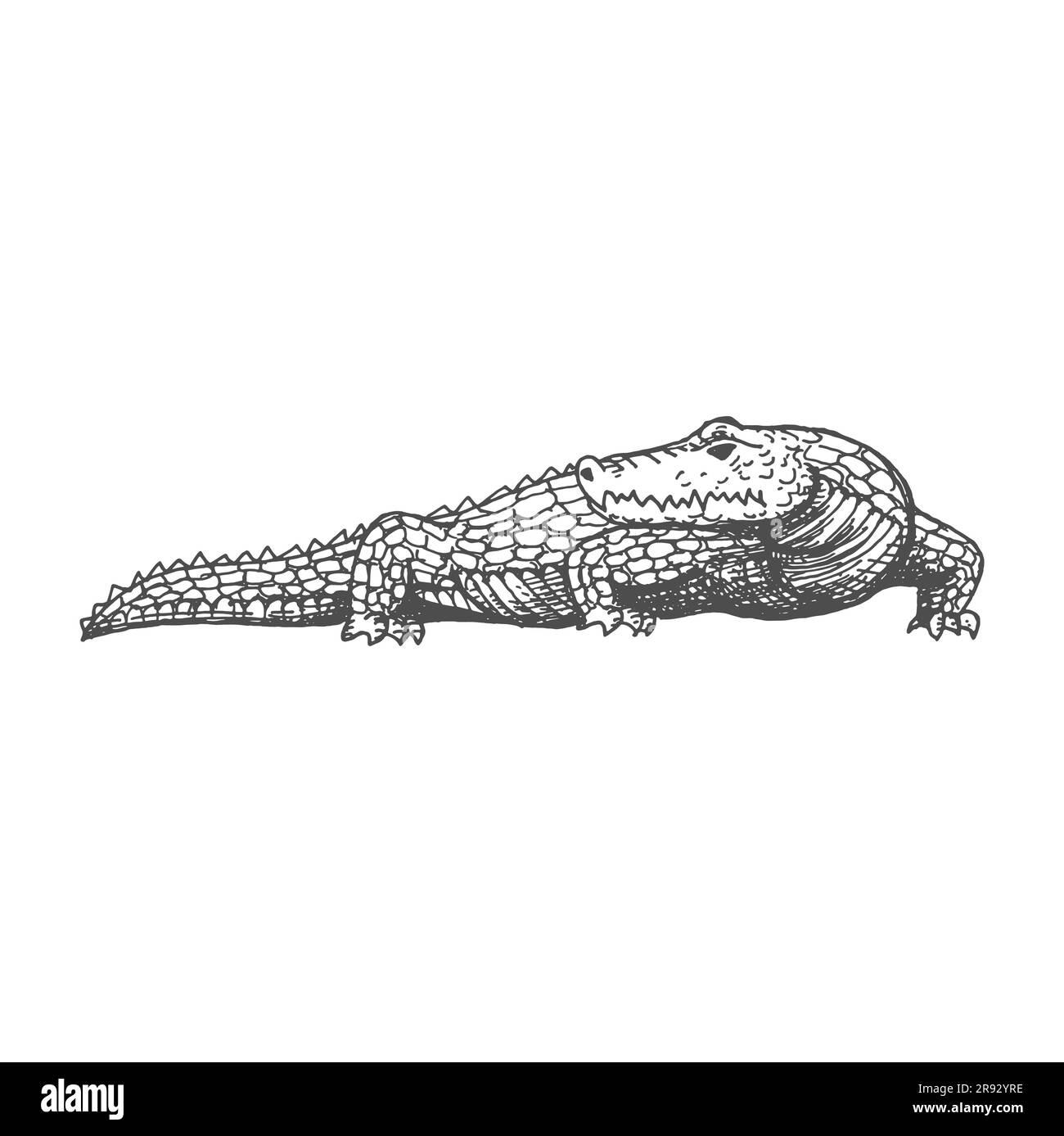 Animal aquatique mythologique Banque d'images noir et blanc - Alamy