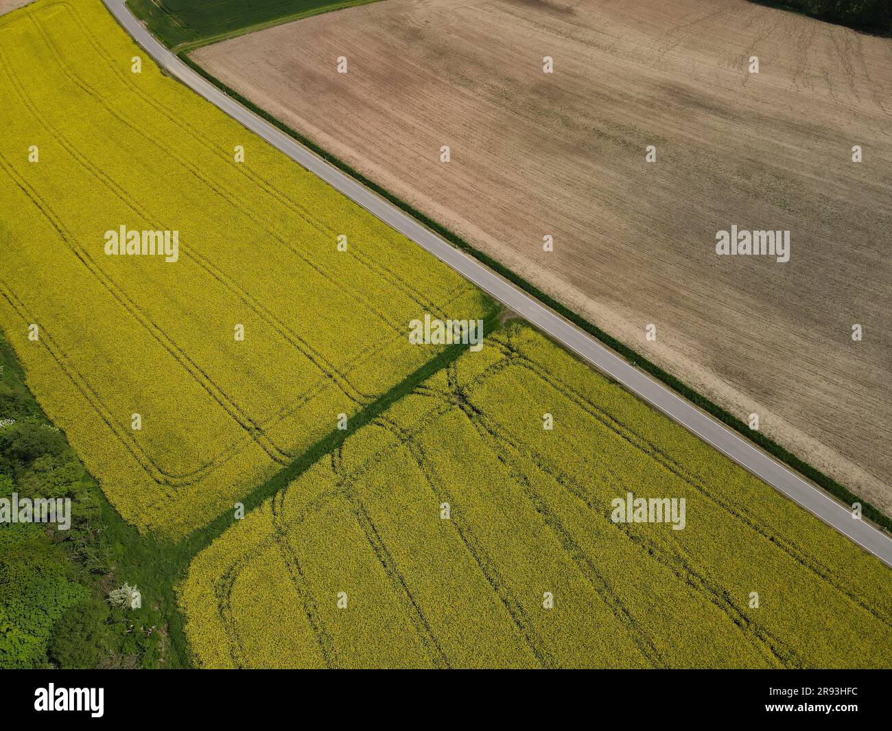 Vue aérienne d'un paysage avec du colza à fleurs jaunes, des terres ...
