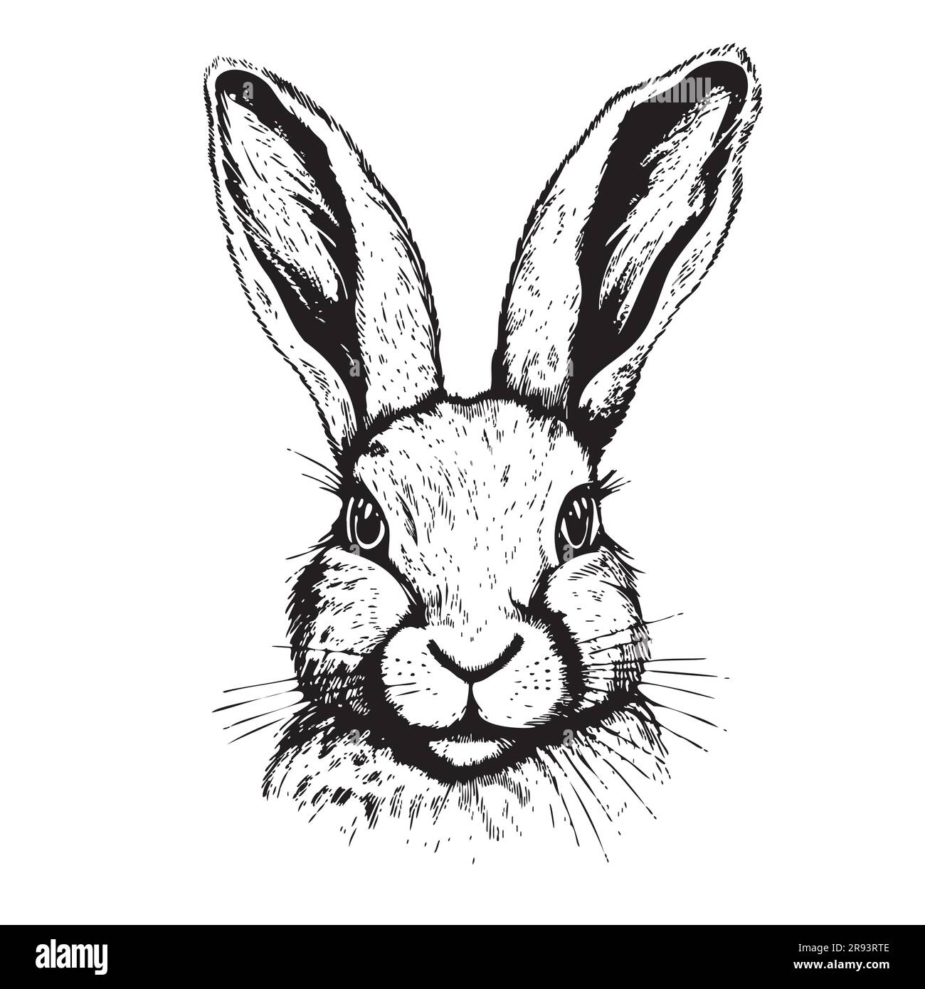 Dessin de lapin noire et blanc Banque de photographies et d’images à ...