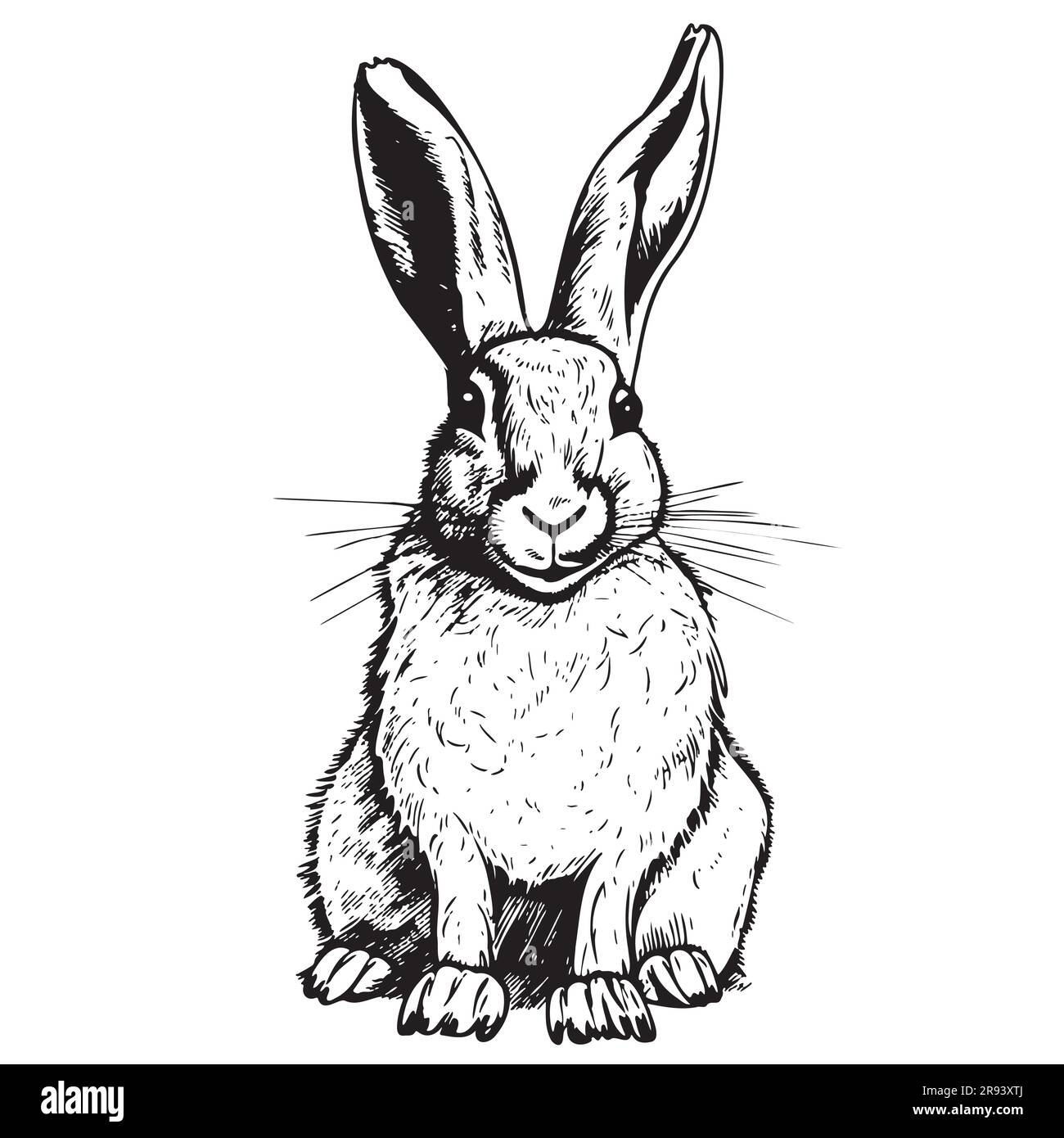 Dessin de lapin noire et blanc Banque de photographies et d’images à ...