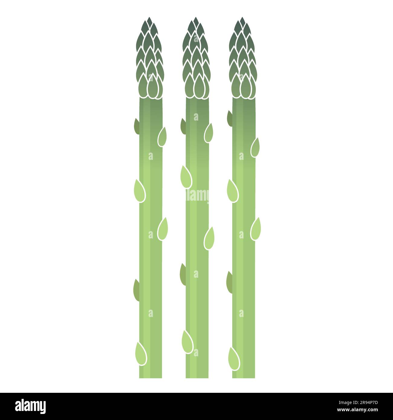 Ensemble d'asperges vertes fraîches et savoureuses Vector, isolé sur ...