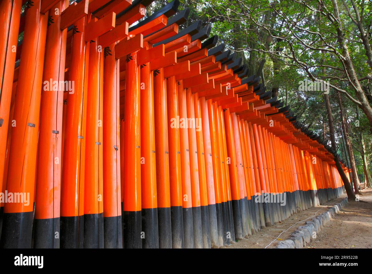 Thousand torii Banque de photographies et d’images à haute résolution ...