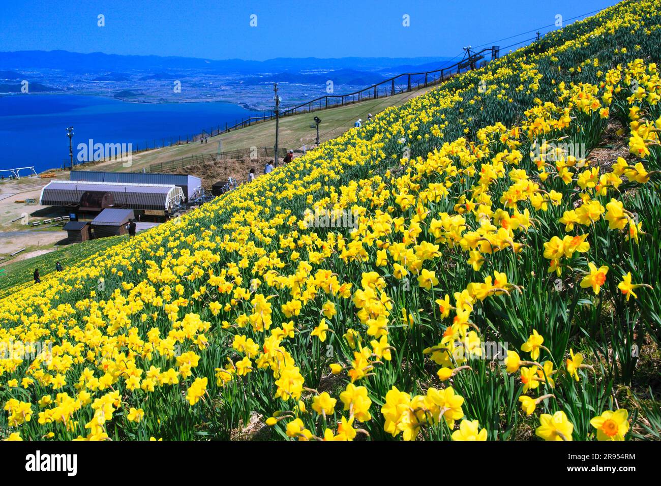 Biwa valley Banque de photographies et d’images à haute résolution - Alamy