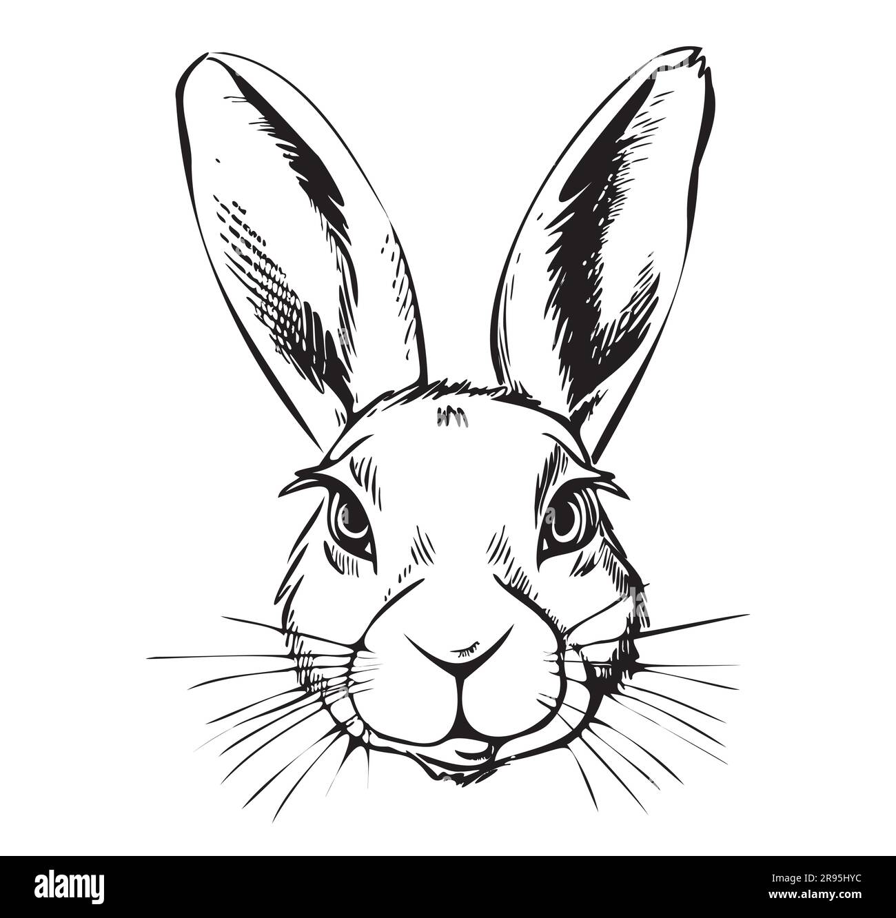 Dessin de visage de lapin dessiné à la main dans l'illustration de ...