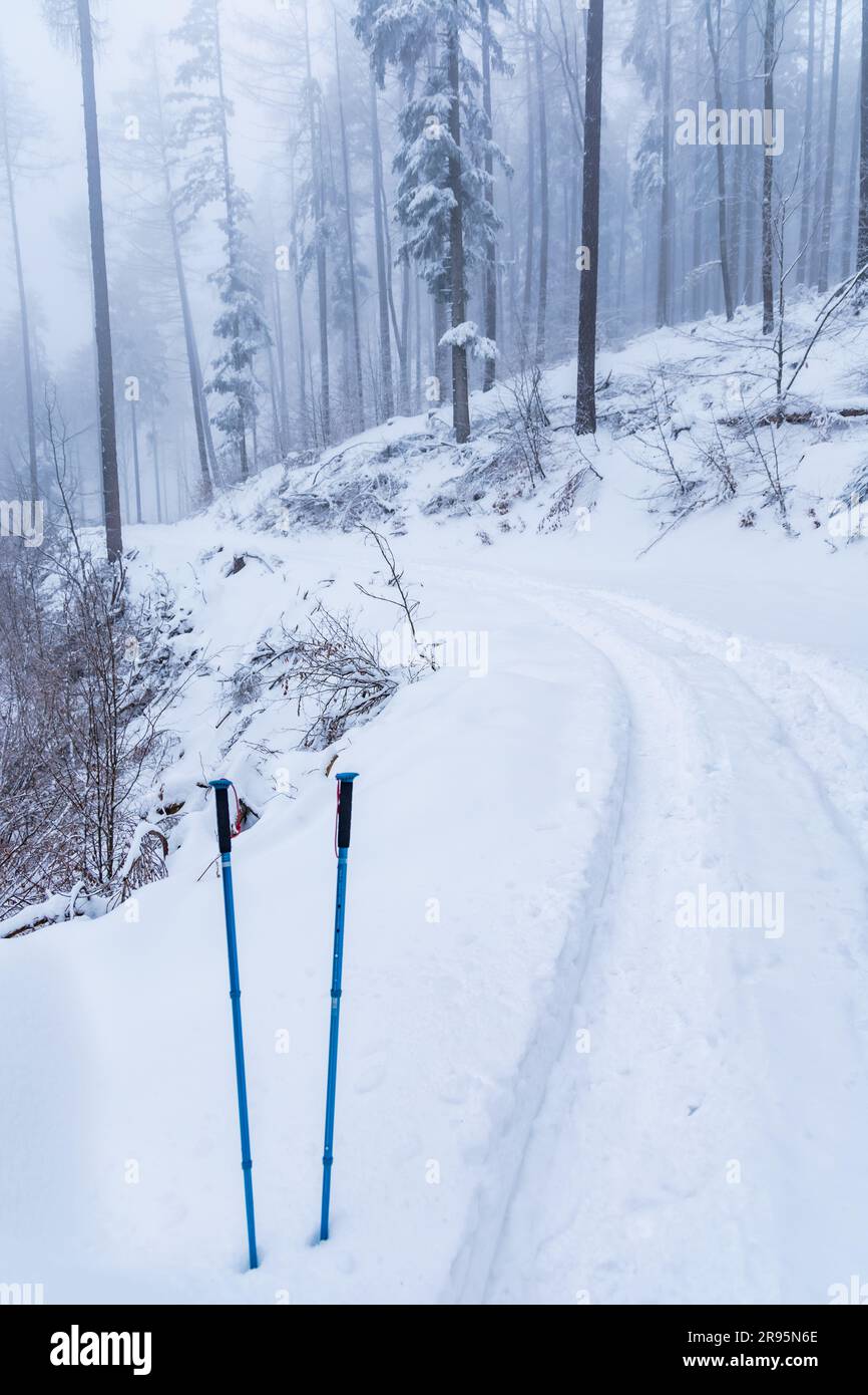 Deux bâtons de randonnée bleus ont collé dans la neige à côté d'un beau ...