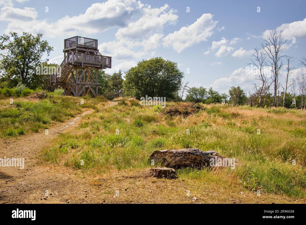 Tour d'observation en bois sur les landes dans le parc national de Meinweg, une partie du parc ...