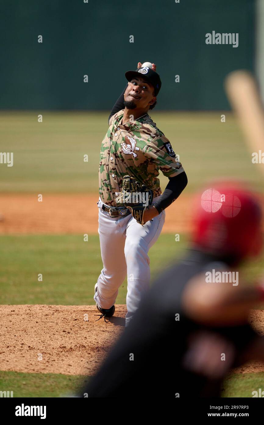 Biloxi Shuckers pitcher Carlos F. Rodriguez (21) during an MiLB ...