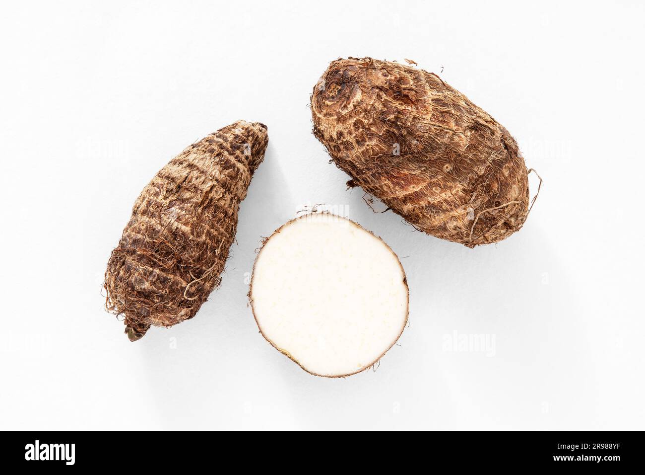 Tubercule tropical Banque d'images détourées - Alamy