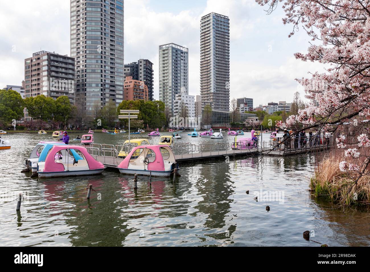 Parc du lac ueno Banque de photographies et d’images à haute résolution ...