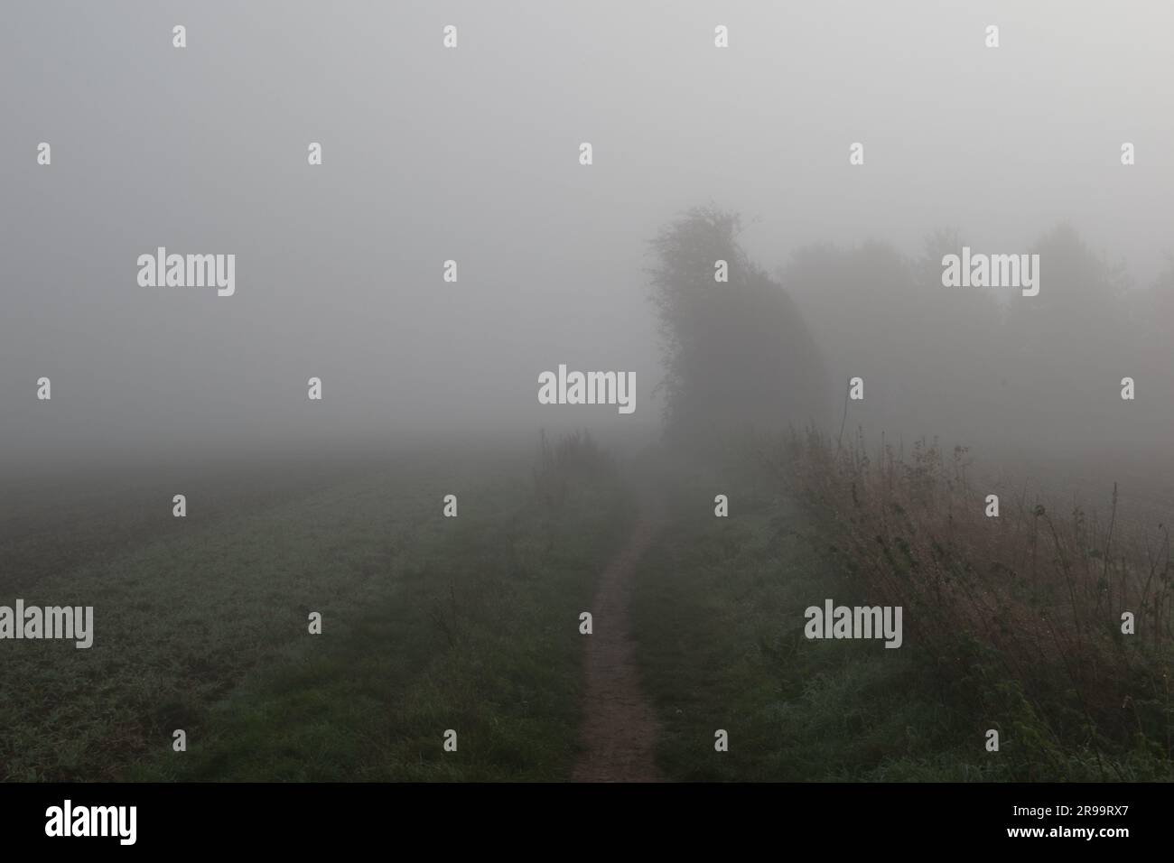 Voie est mendip Banque de photographies et d’images à haute résolution ...