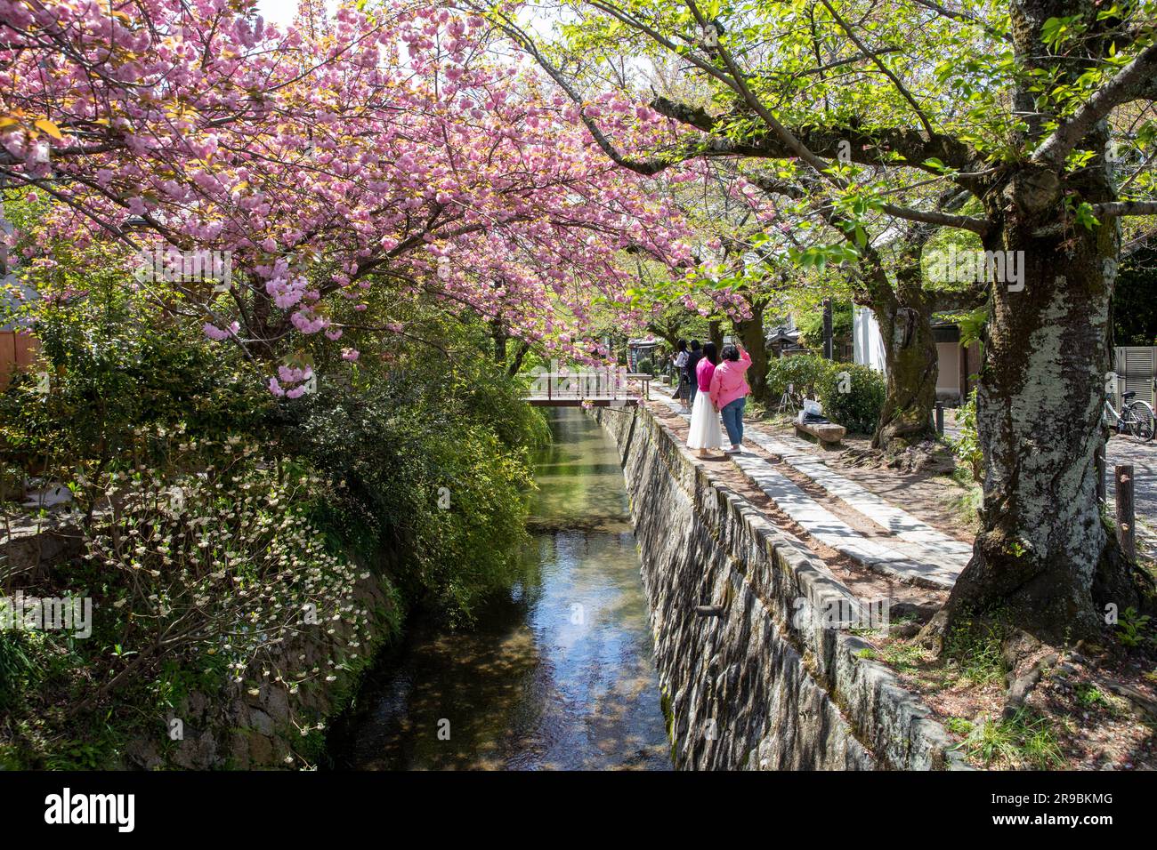 Deux femmes sur le chemin des philosophes à Kyoto pendant le printemps hanami de cerisier fleuri ...