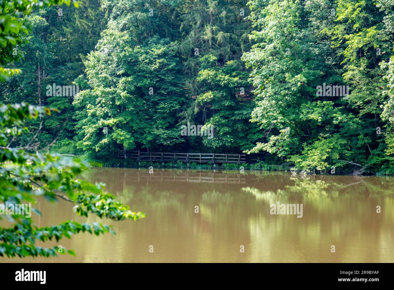 Regardant à travers l'eau brune du lac Strahl vers une clôture à la ...