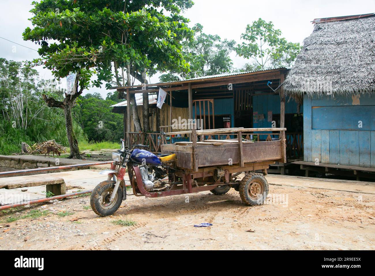 Moto ou Motocarro dans la jungle péruvienne est le véhicule le plus ...