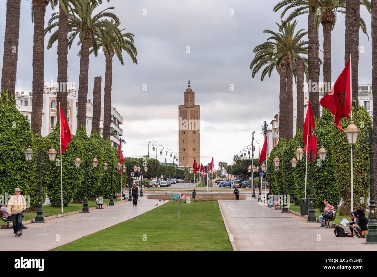 La plus belle avenue du maroc Banque de photographies et d’images à ...