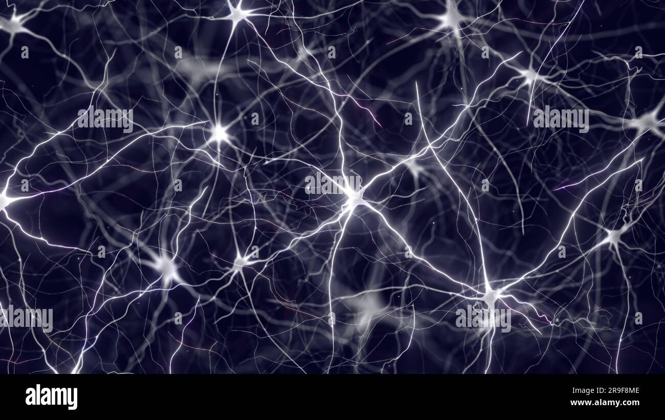 Neurones également appelés neurones ou cellules nerveuses. Les neurones ...