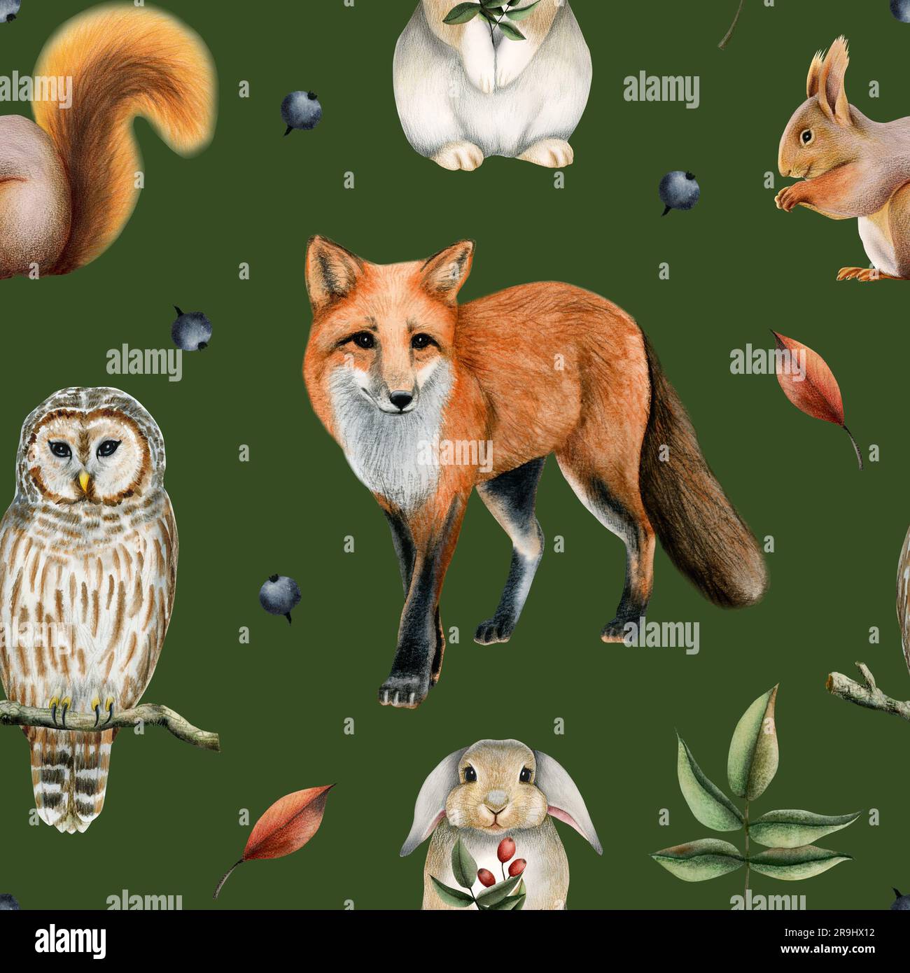 Animaux de la forêt dessin a imprimer Banque de photographies et d ...