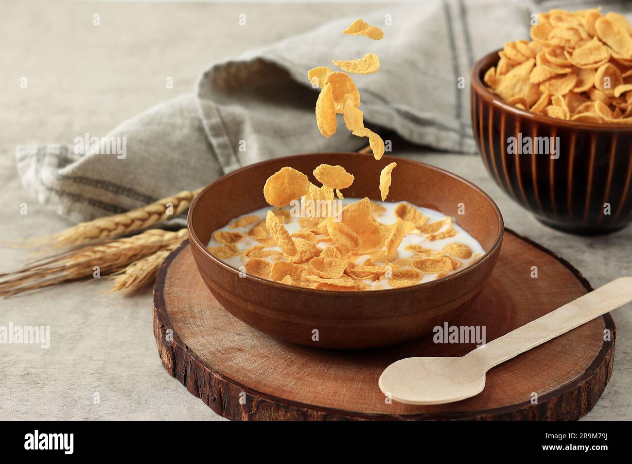 Céréales au lait, aliments pour le petit déjeuner et en-cas pour une ...