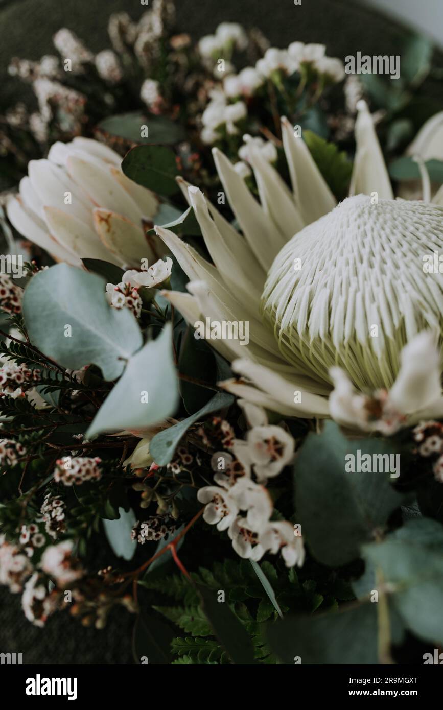 Photographe de fleurs Banque de photographies et d’images à haute ...