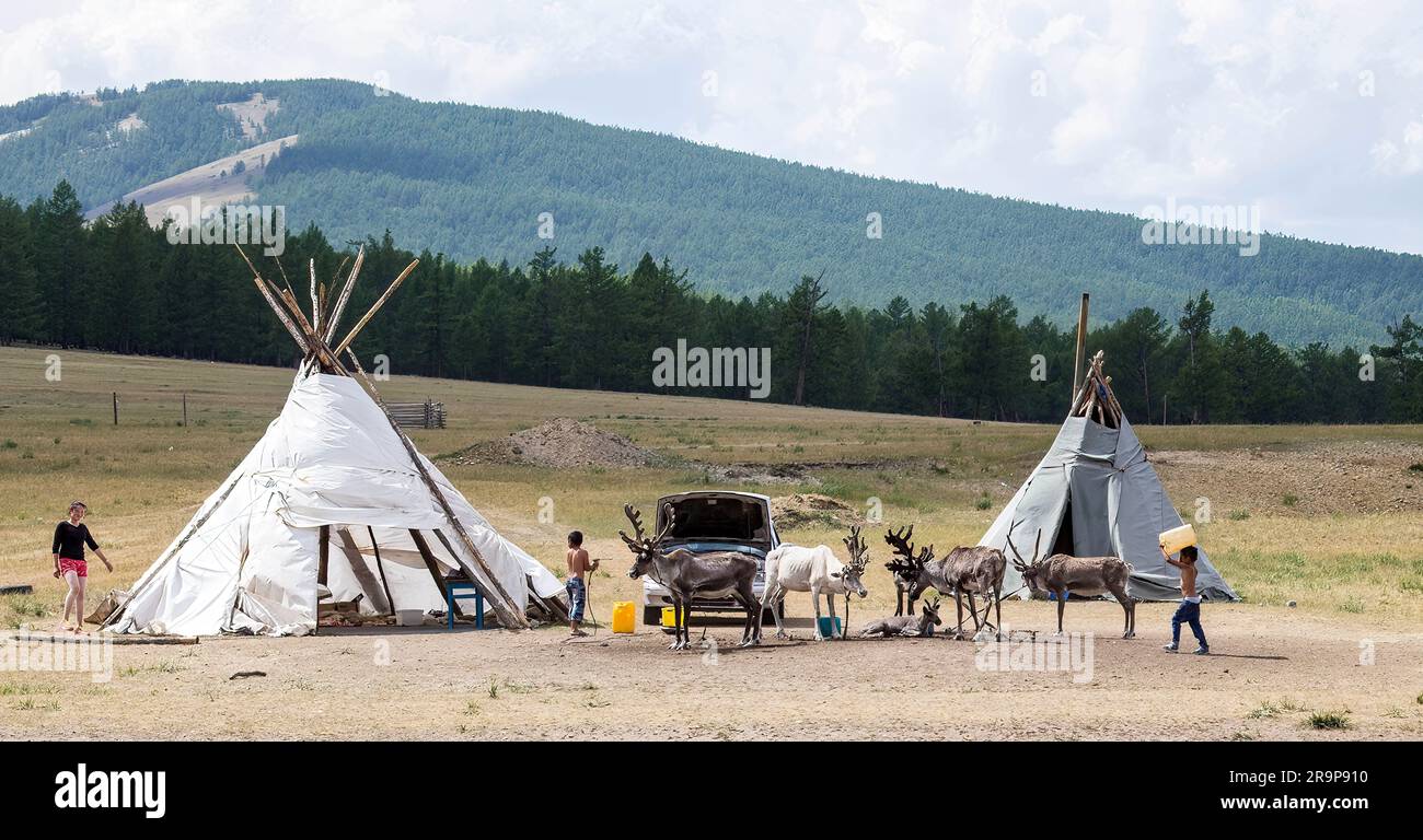 Tente dukha Banque de photographies et d’images à haute résolution - Alamy
