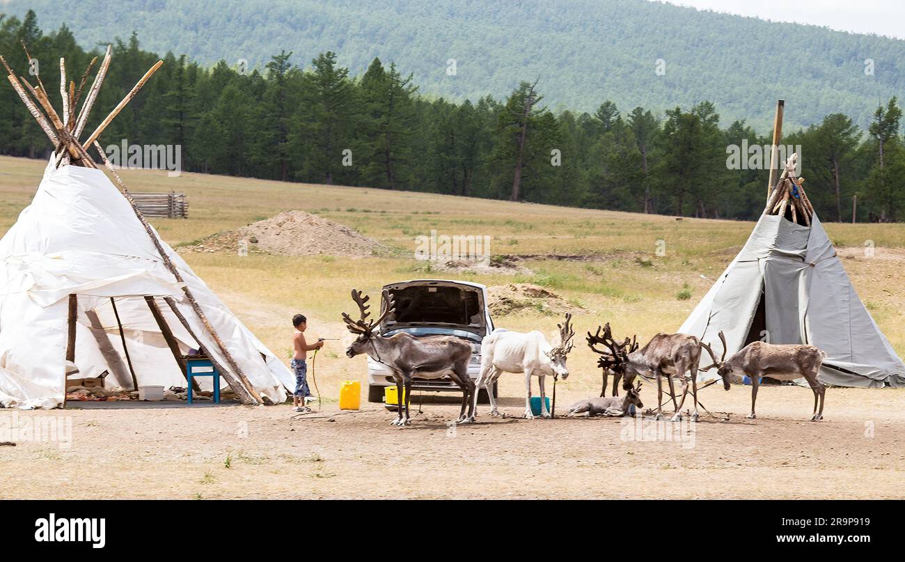 Tente dukha Banque de photographies et d’images à haute résolution - Alamy