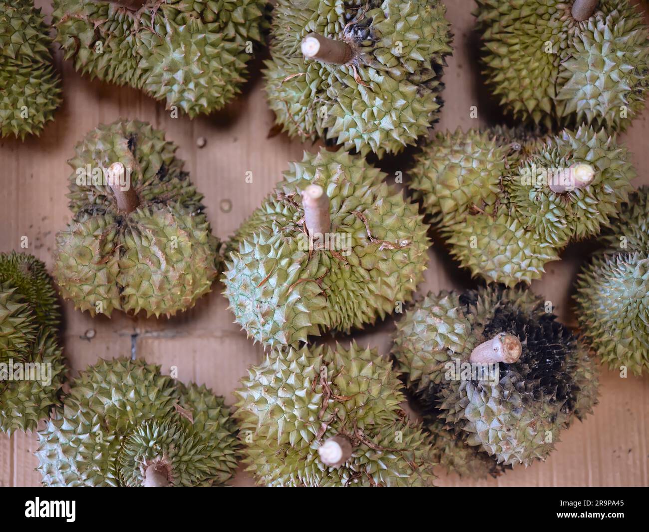 Marché du durian Banque de photographies et d’images à haute résolution ...