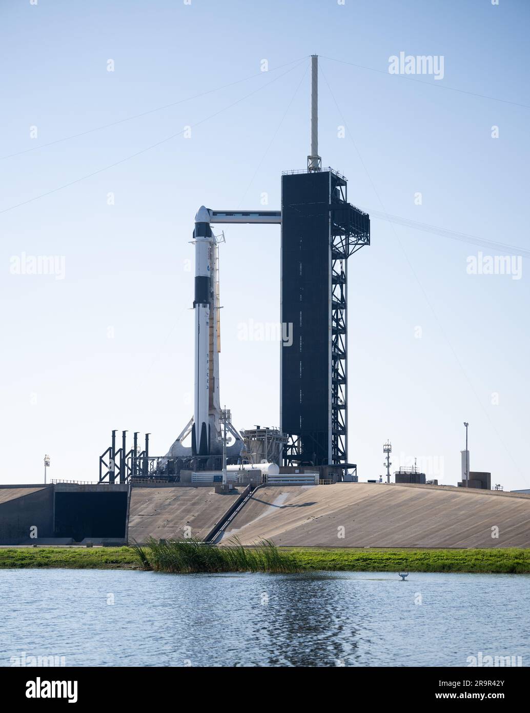Spacex Crew 6 Preflight De La Nasa Une Fusée Spacex Falcon 9 Avec Le