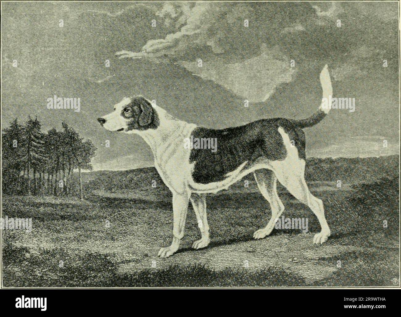'Le huitième duc de Beaufort et la chasse au badminton : avec un ...