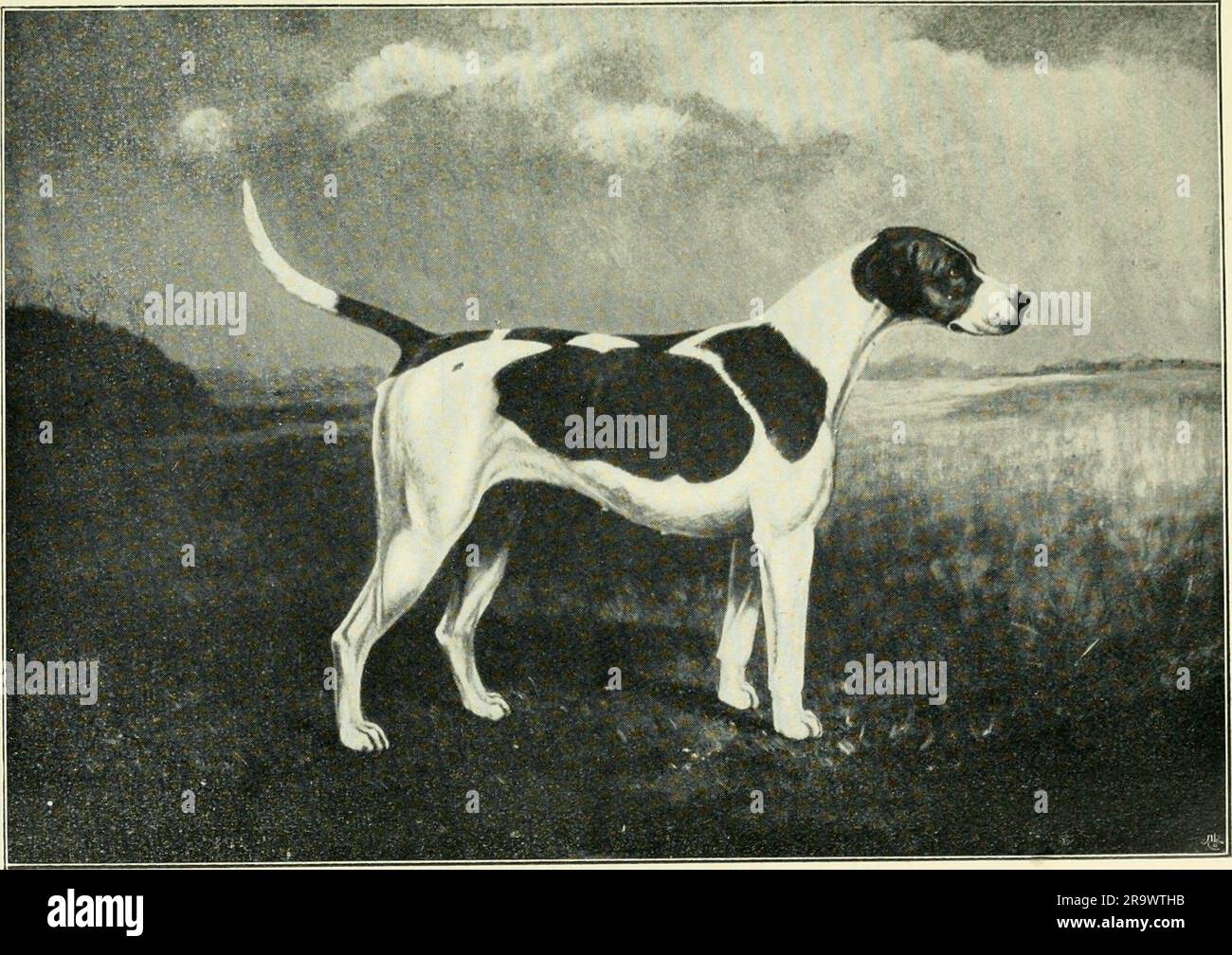 'Le huitième duc de Beaufort et la chasse au badminton : avec un ...