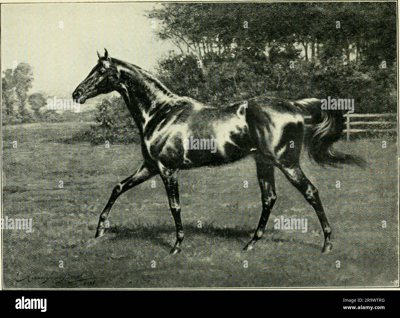 'Le huitième duc de Beaufort et la chasse au badminton : avec un ...