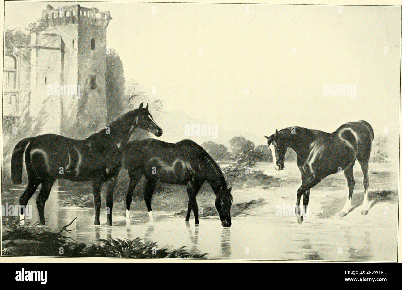 'Le huitième duc de Beaufort et la chasse au badminton : avec un ...