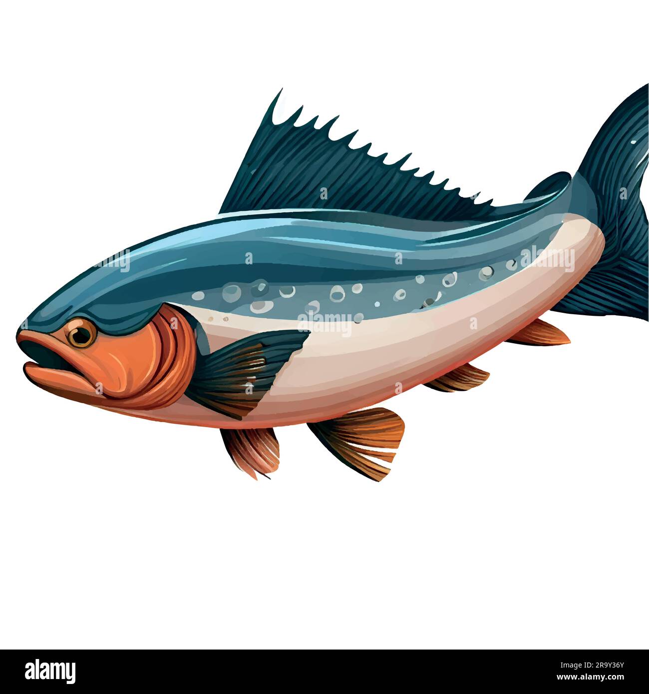 Poissons en aquarium d'eau douce Banque d'images vectorielles - Alamy