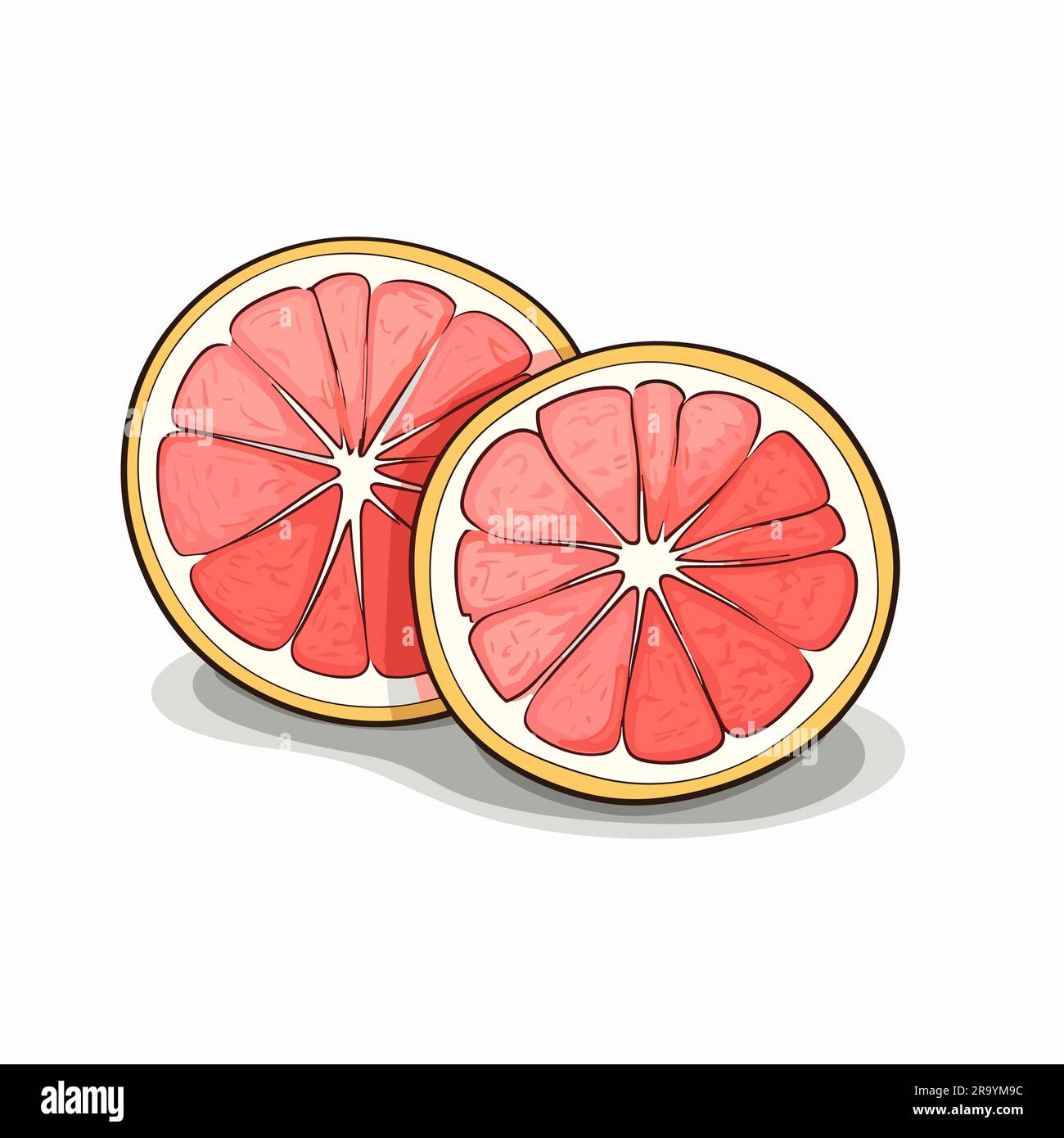 Pamplemousse. Illustration à la main de pamplemousse. Illustration de ...