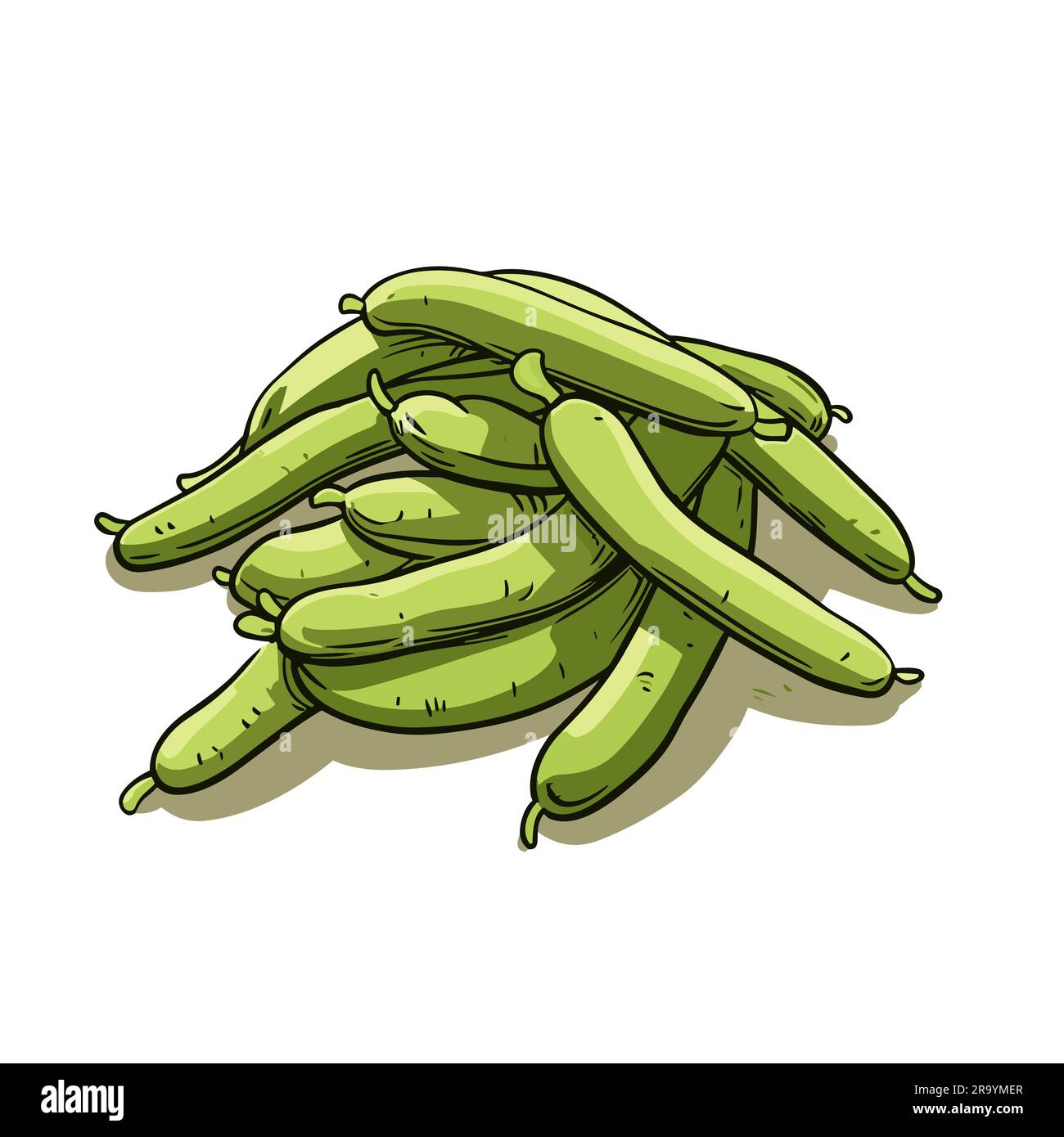 Haricots verts. Illustration de haricots verts dessinés à la main ...